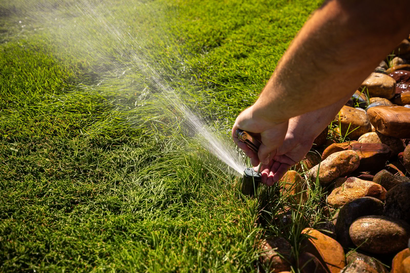 4 Seasonal Maintenance Tips for Your Irrigation System